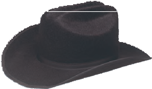Permafelt child cattleman black | PIEX